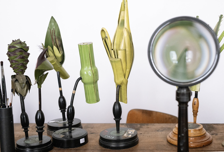 The ORIGINAL wardrobe of the ADVENTURER E.Le Moult – P.Le Moult